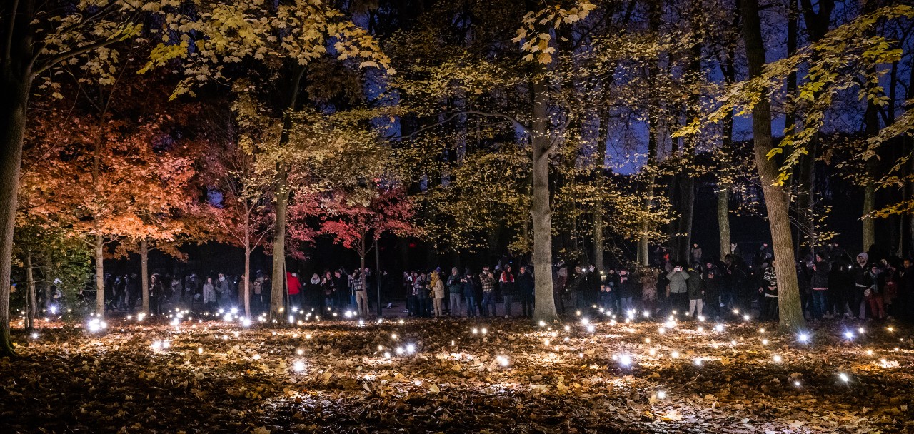 Firefly Field | Fete des Lumières